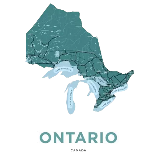 Rebar Installation in Ontario | Rex Rebar Inc. | Reinforcing Steel ...